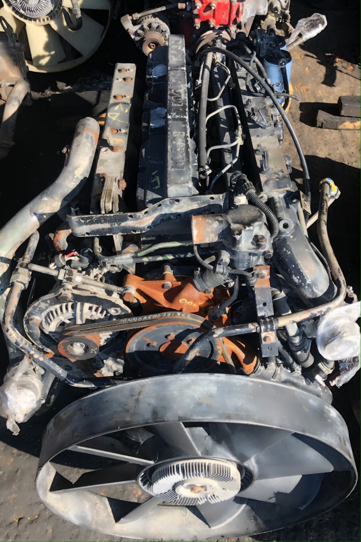 MAN D0836 ENGINE - Sterling Trucks